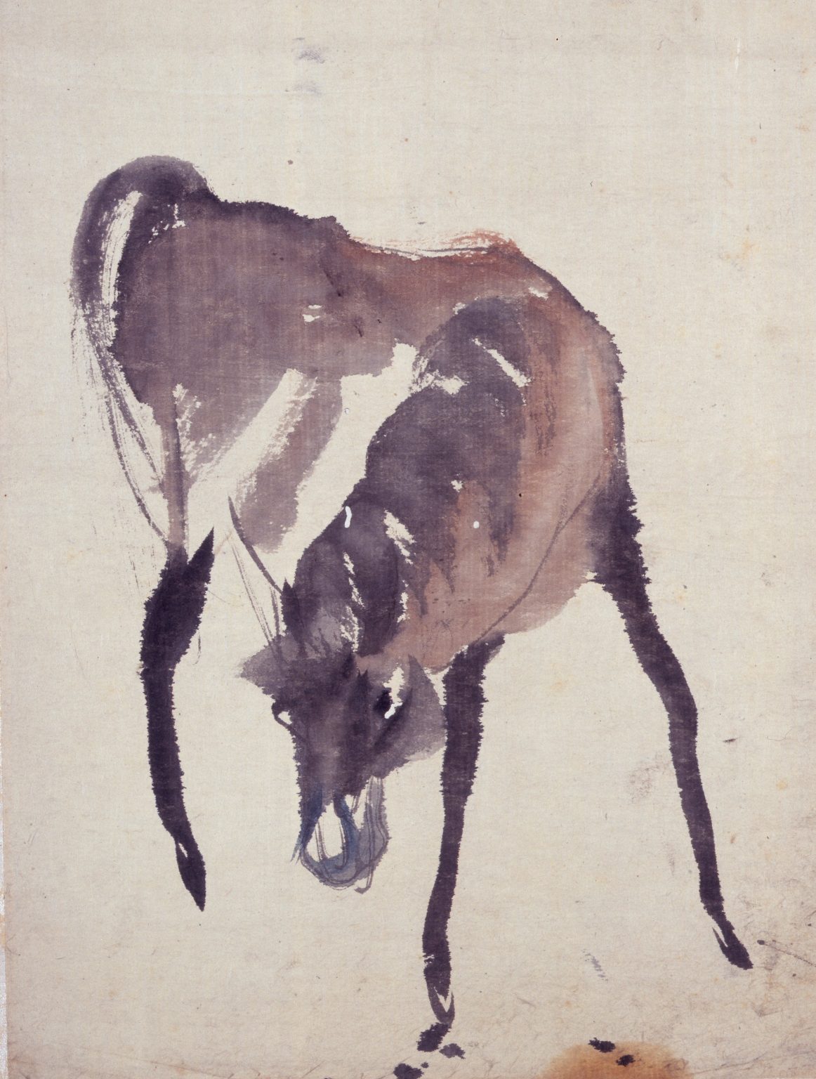 集まれ!!歴史館のかくれた仲間たち | 【茨城県立歴史館】歴史博物館・文書館｜茨城県水戸市